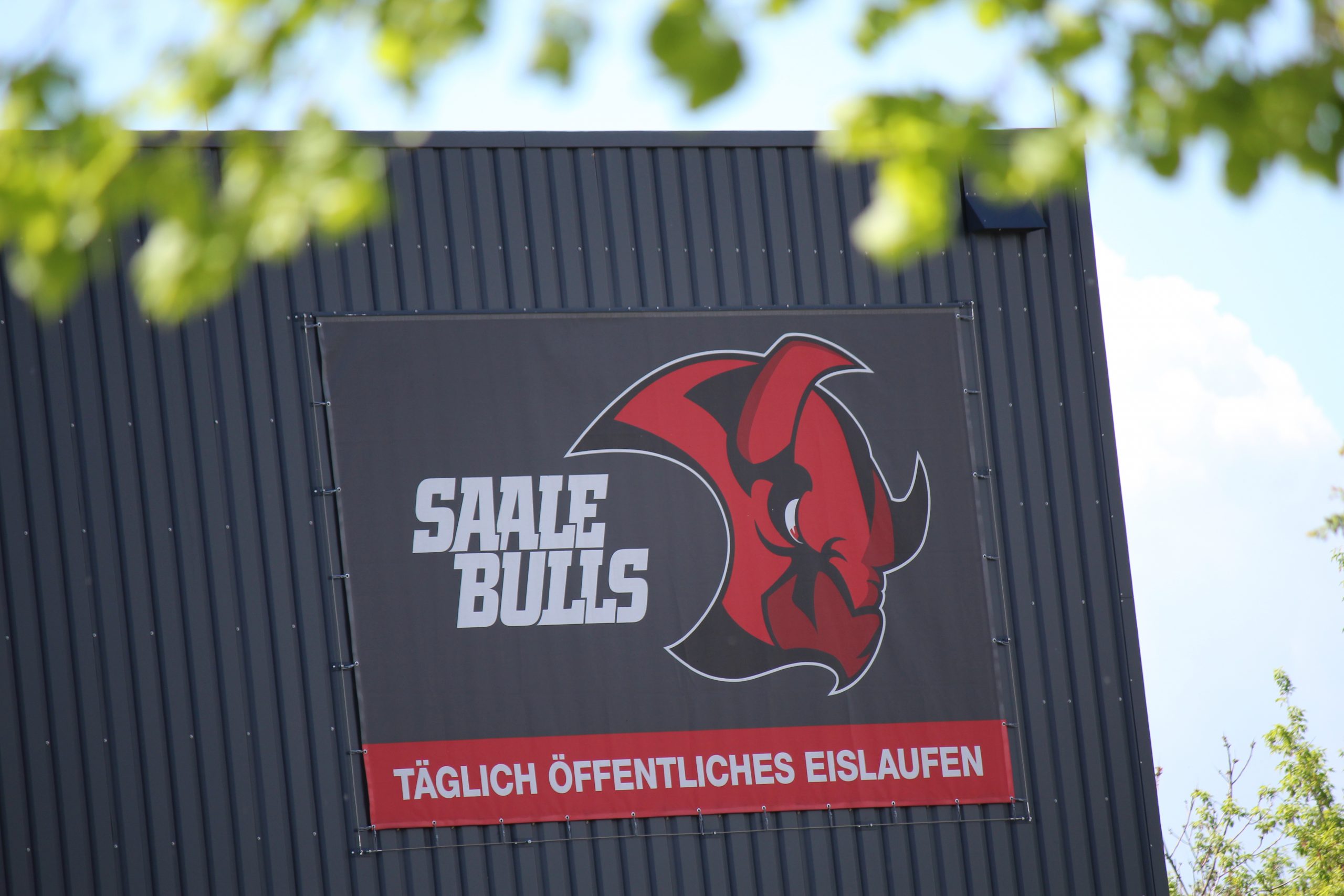 H@llAnzeiger - Saale Bulls: Nils Kapteinat bildet mit Kai Kristian ...