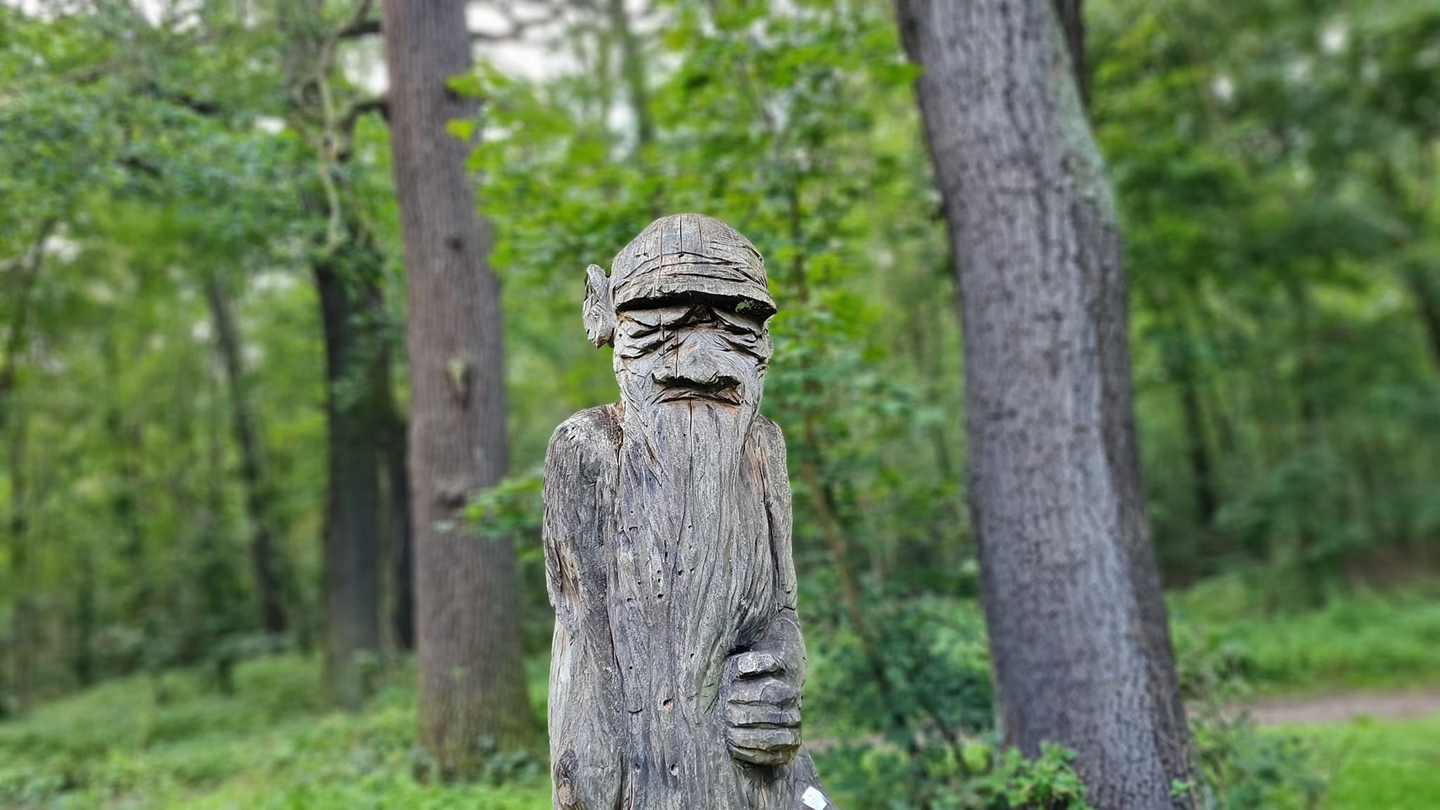 H@llAnzeiger - Neue „Waldgeist“-Holzskulptur für die Dölauer Heide