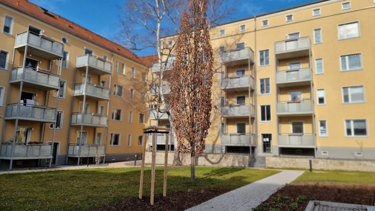 H@llAnzeiger - HWG beendet Sanierungsmaßnahmen am „Ernst-Toller-Eck“